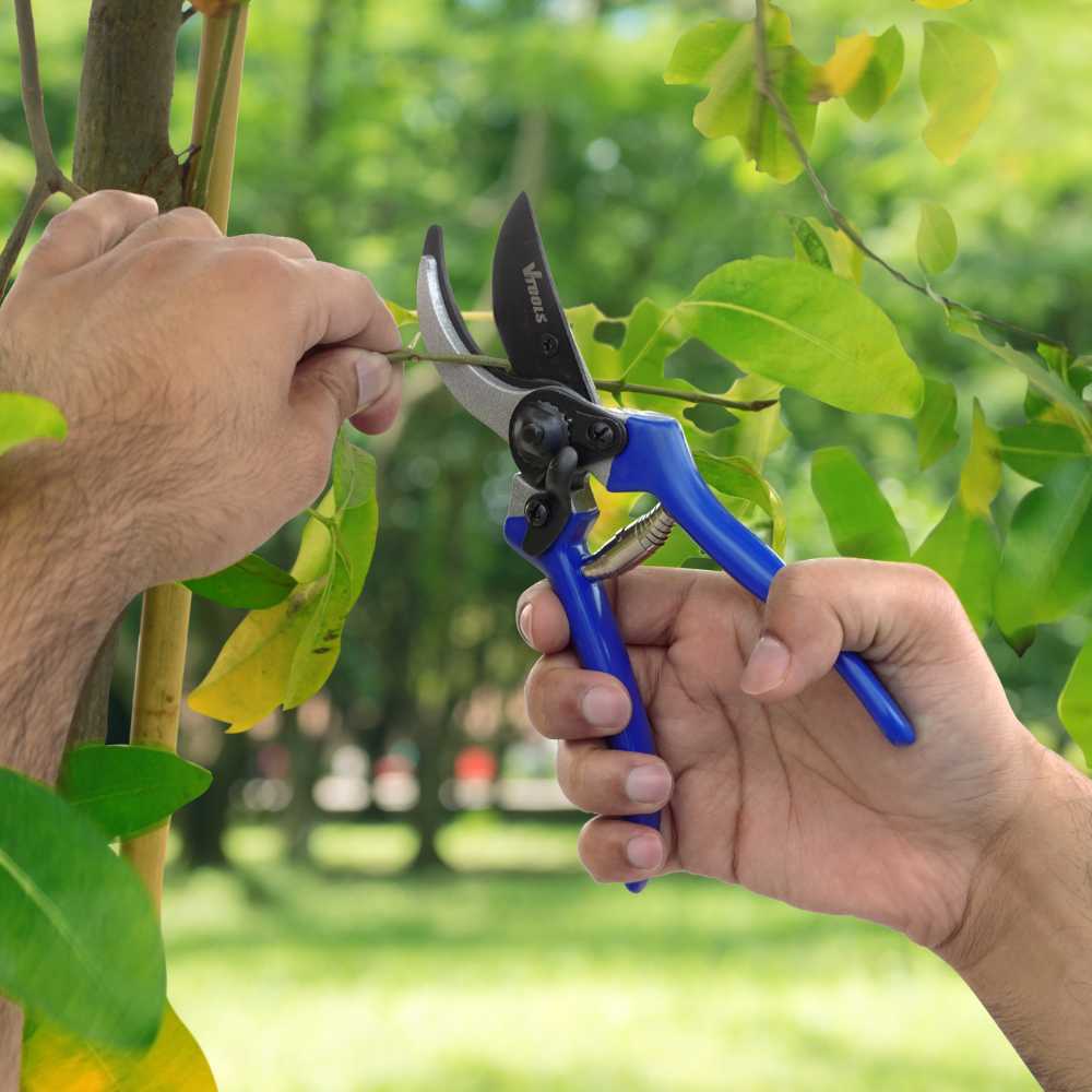 VTOOLS 215mm Bypass Pruning Shears for Roses, Plant and Trees
